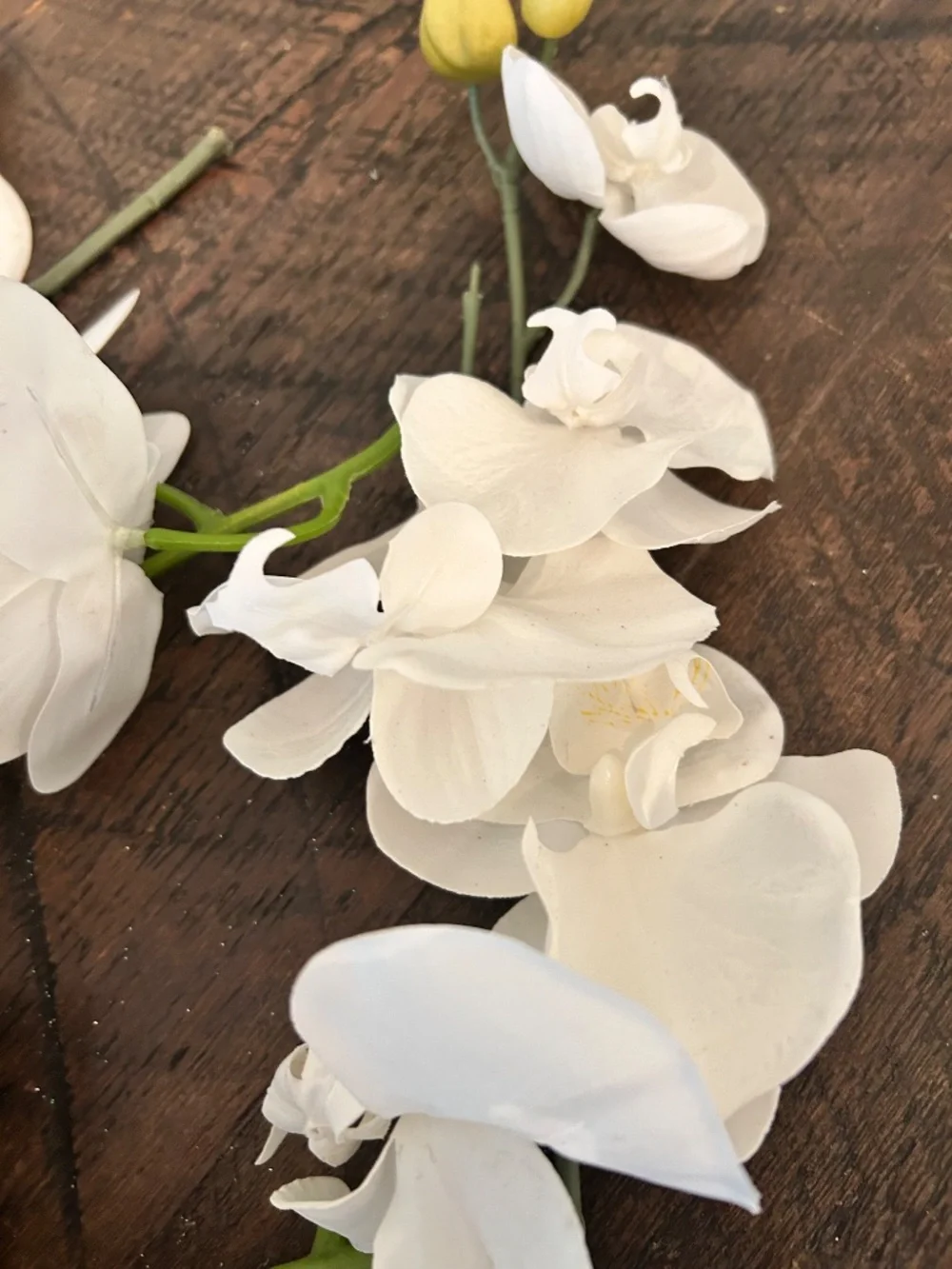 Other | Six Stems Of White Silk Orchids And Palm Fronds | Poshmark